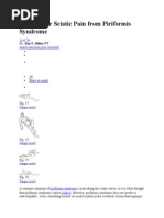 Printable Sciatica Exercise Guide | PDF | Diseases And Disorders ...