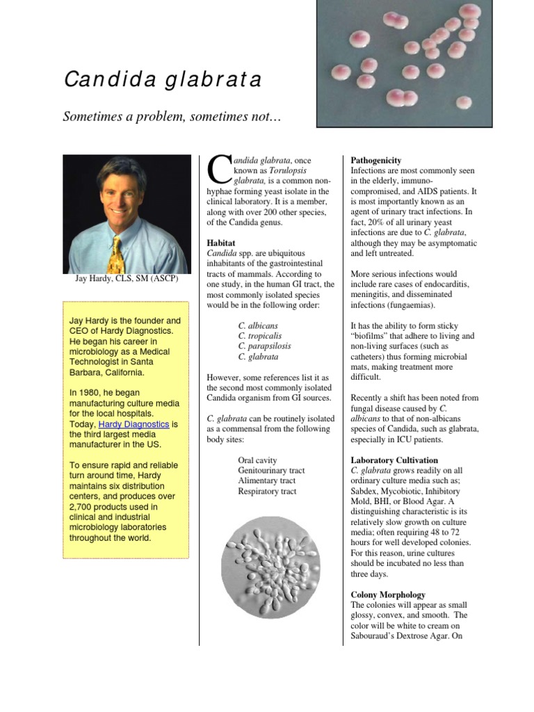 Candida Glabrata | PDF | Candida (Fungus) | Microbiology