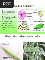 Bioengineering Sample Statement of Purpose Sop | PDF | Biotechnology ...