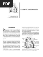 Reflejos Bainbridge 1 | PDF | Corazón | Nervio vago