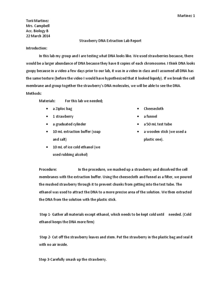 Strawberry Lab Report | Download Free PDF | Dna | Solution