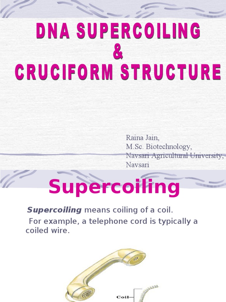 Dna Supercoiling | Nucleic Acid Double Helix | Dna