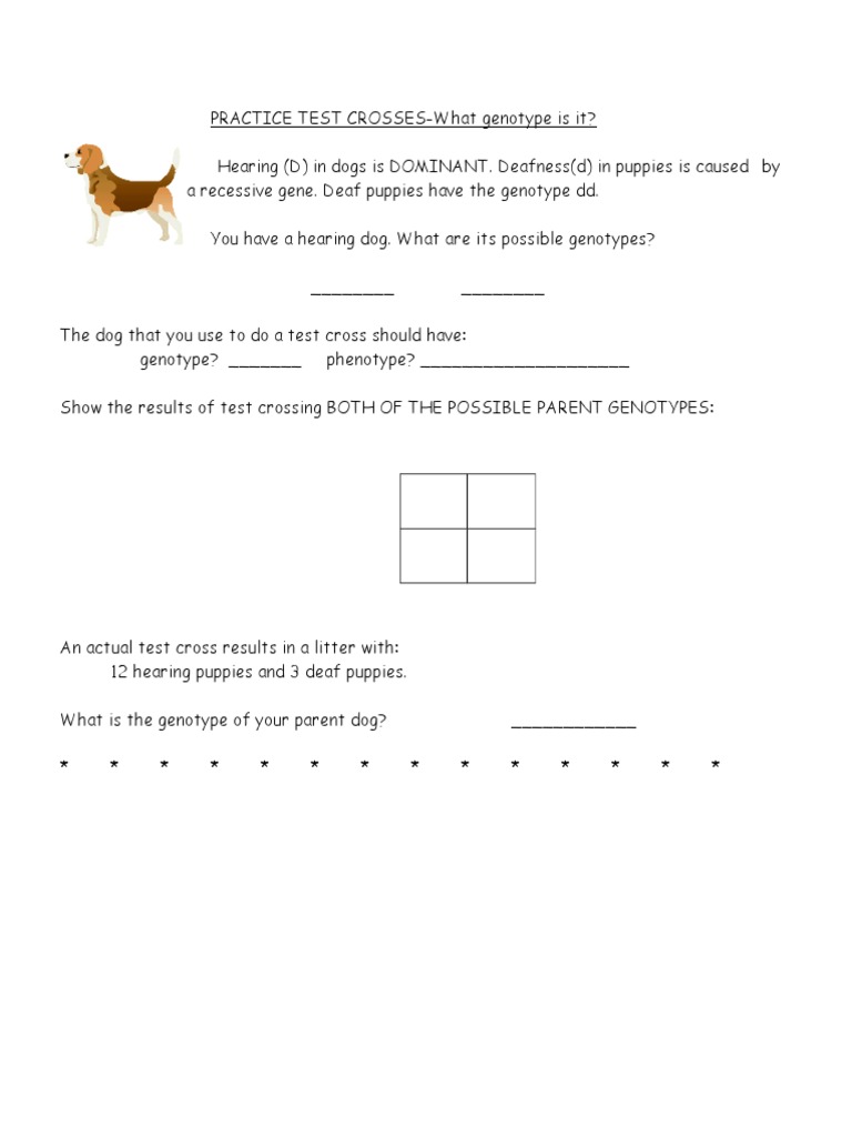 Test Cross Worksheet | PDF