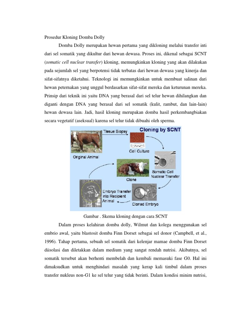 Prosedur Kloning Domba Dolly | PDF | Dewasa Muda