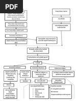 Pathway Kanker Kulit Fix | PDF