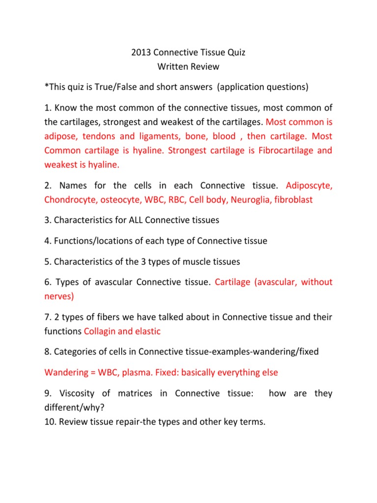 Connective Tissue Quiz Overview | PDF | Connective Tissue | Tissue ...