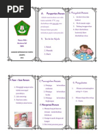 Leaflet Febris Oke | PDF