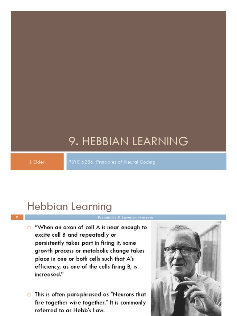 09 Hebbian Learning | PDF | Neuron | Neuroscience