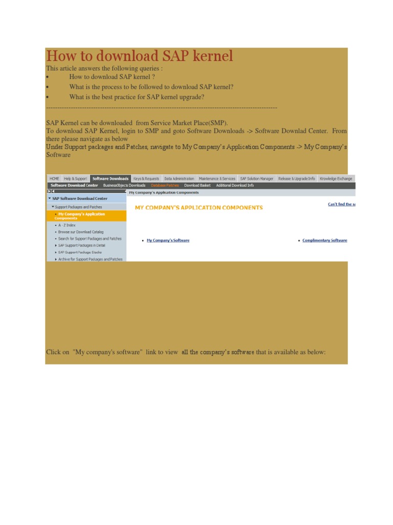 SAP Kernel Download Guide | PDF | Kernel (Operating System) | Databases