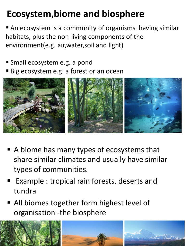 Ecosystem, Biome and Biosphere | PDF