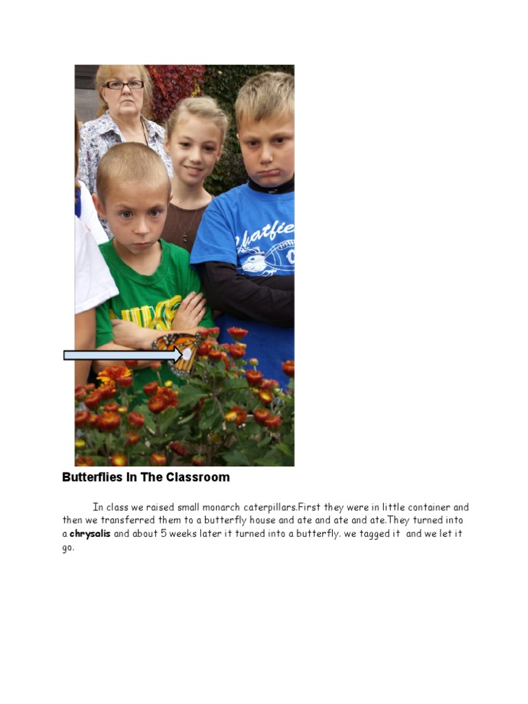 Monarch Caterpillar to Butterfly Journey | PDF