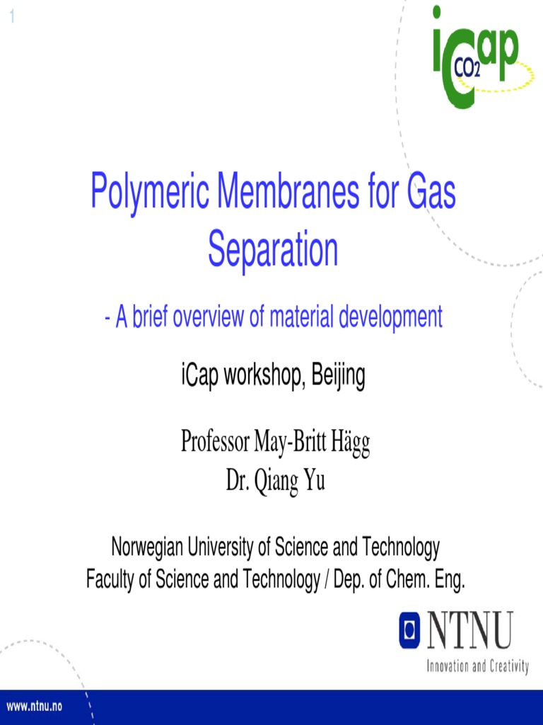 Icap Workshop 1 | PDF | Polymers | Applied And Interdisciplinary Physics