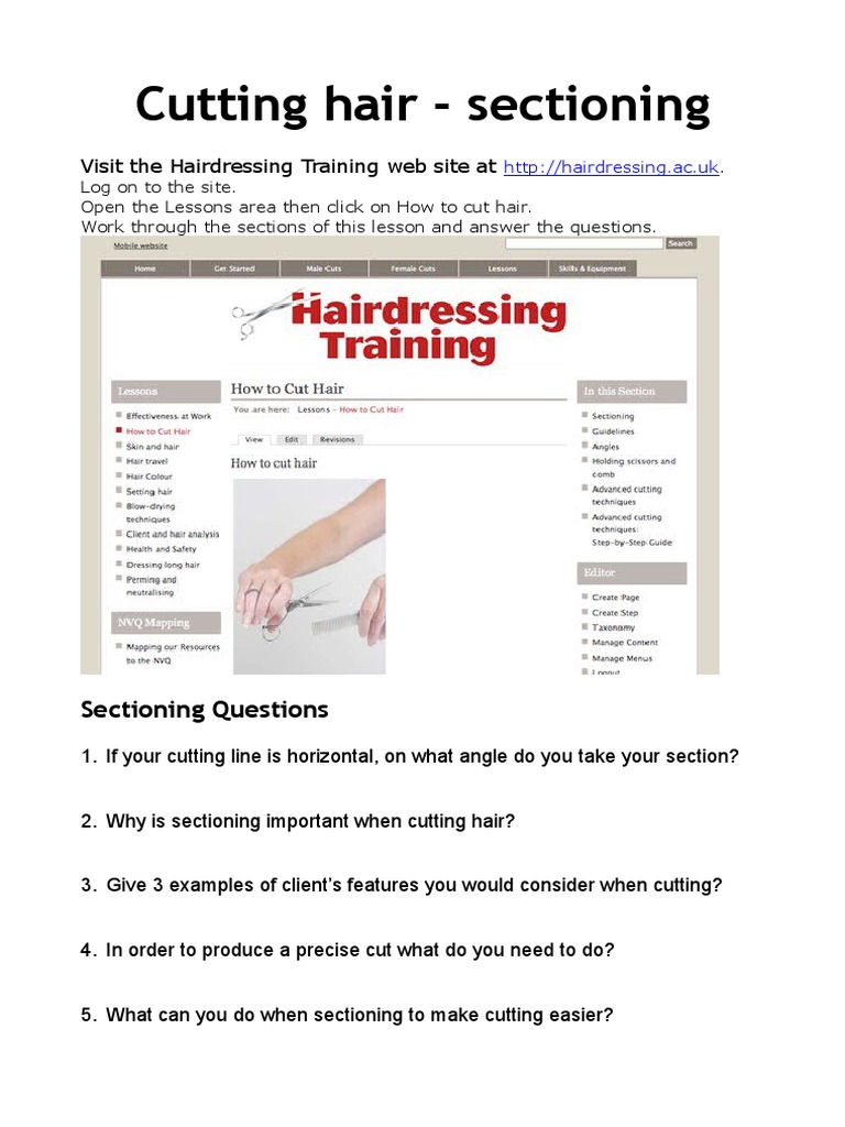 Hair Cutting Techniques: Sectioning Guide | PDF