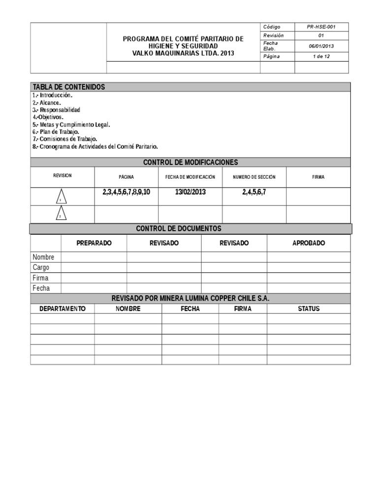 Programa Comite Paritario | PDF | La seguridad | Salud y bienestar