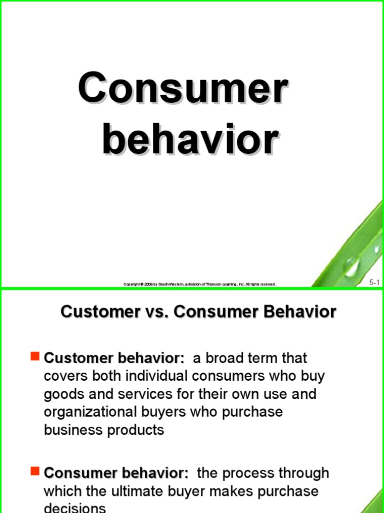 Consumer Behaviour Ppt | Consumer Behaviour | Attitude (Psychology)