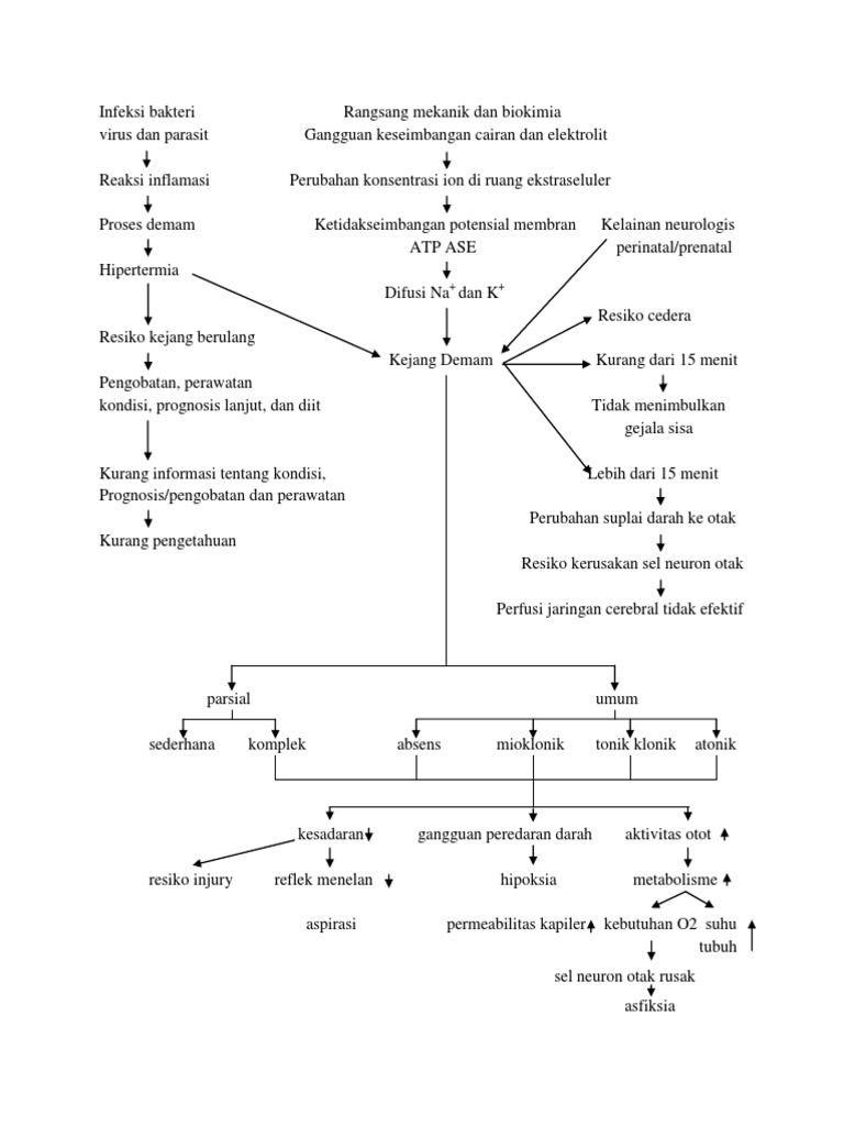 Pathway Kejang Demam