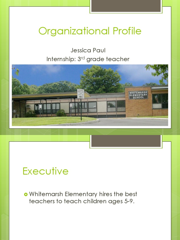 Organizational Profile | PDF