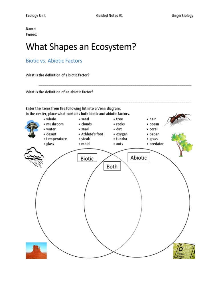 What Shapes An Ecosystem Guided Notes | PDF | Ecological Niche | Ecology