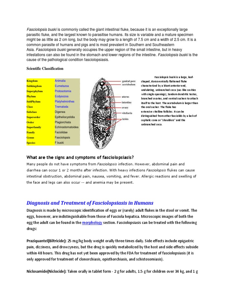 Fasciolopsis Buski | PDF | Parasites | Medical Specialties