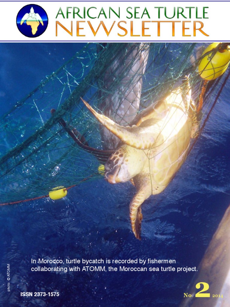 African Sea Turtle Newsletter No. 2 / 2014 | PDF | Turtle | Sea Turtle