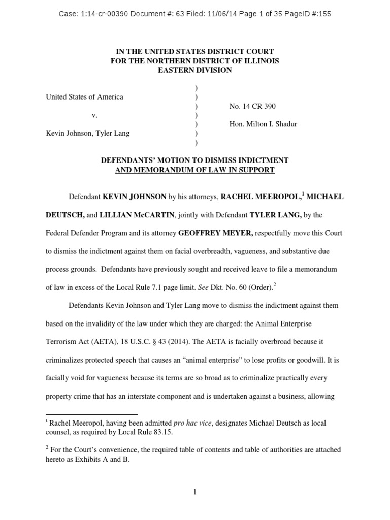 Motion To Dismiss Indictment | PDF | Overbreadth Doctrine | First ...
