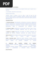 Narrativa Control Interno | PDF | Auditoría | Informática