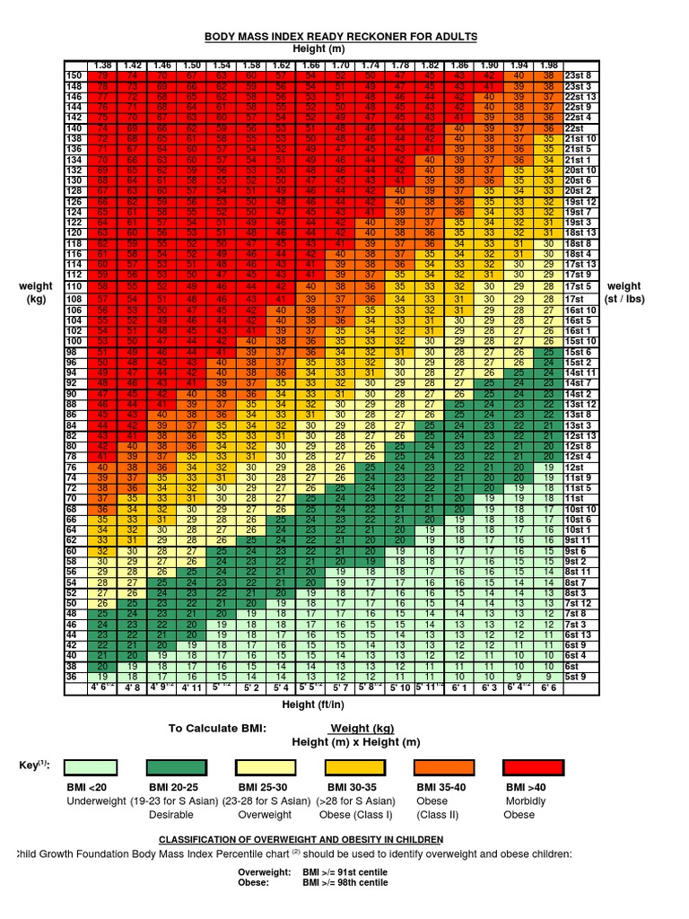 BMI Chart Metric and Imperial | PDF