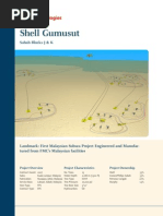 Petronas Technical Standards: Offshore Facilities Design For ...