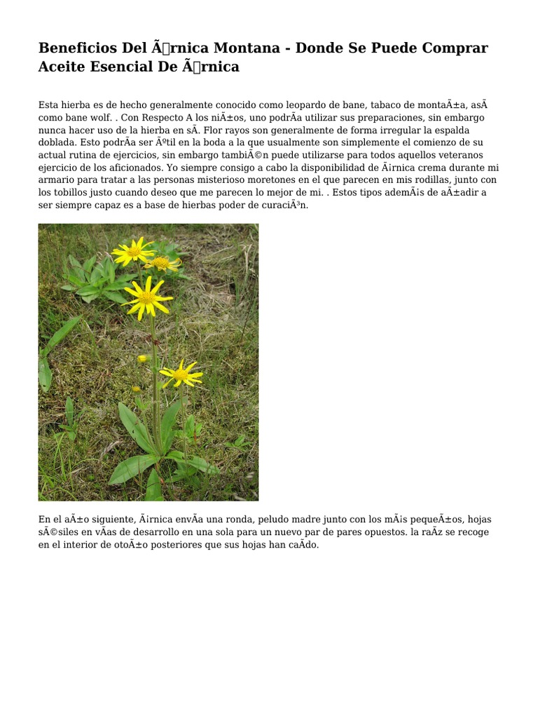 Beneficios Del ?rnica Montana - Donde Se Puede Comprar Aceite Esencial de ?rnica | PDF | Cocina ...