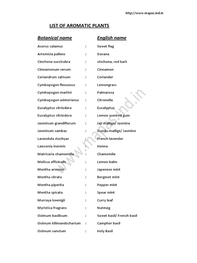 Botanical Name English Name: List of Aromatic Plants | PDF