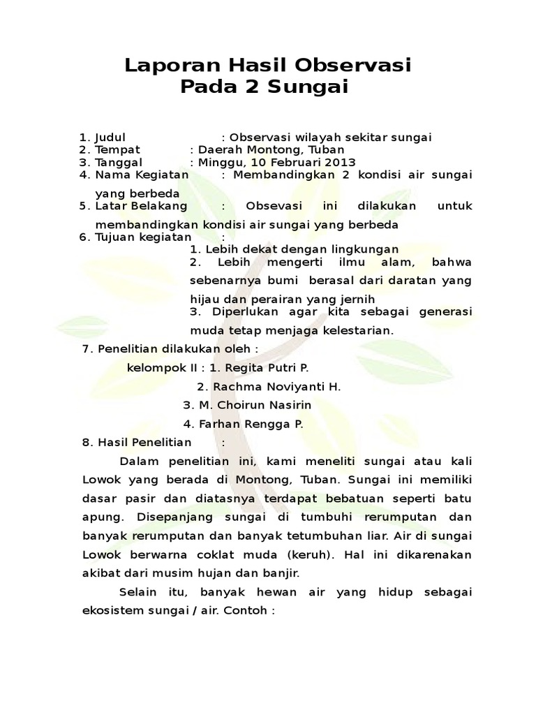 Laporan Hasil Observasi Sungai | PDF | Kajian Bahasa Asing