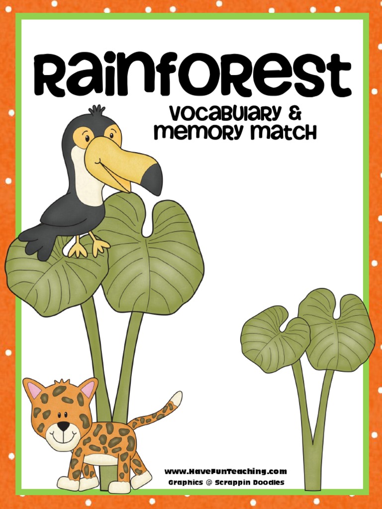 Rainforest Vocabulary Matching Activity | PDF | Home & Garden