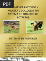 Ciclo de Vida de la Vaca para Niños | PDF | Vacas | Leche