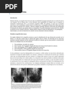 Utilidad en El Diagnóstico de Tumores Urológicos El UROTAC o La URO RMN ...