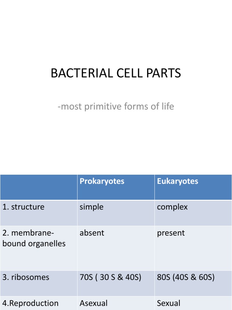 Bacterial Cell Parts: - Most Primitive Forms of Life | PDF | Bacteria ...