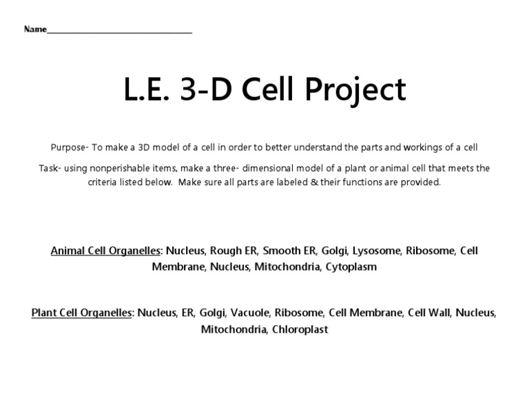 3D Cell Model Project Guidelines | PDF