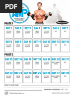 The Max Out Workout Calendar - Insanity Max 30 | PDF
