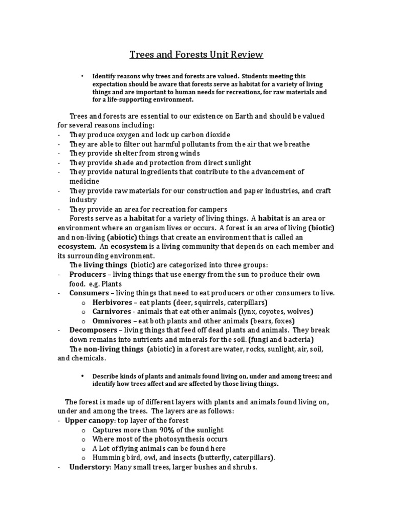 Trees and Forests Unit Review | PDF | Trees | Wood