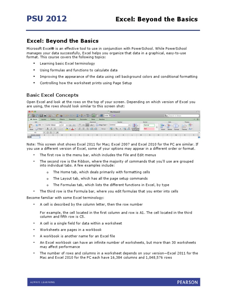 ExcelBasics Handout | PDF | Microsoft Excel | Software