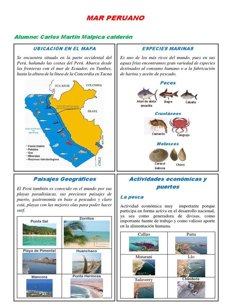 Mar Peruano | Perú | Naturaleza