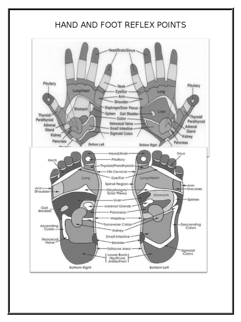 Reflex Points | PDF