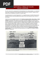 Clasificación de Pfirrmann Modificada | PDF | La columna vertebral ...