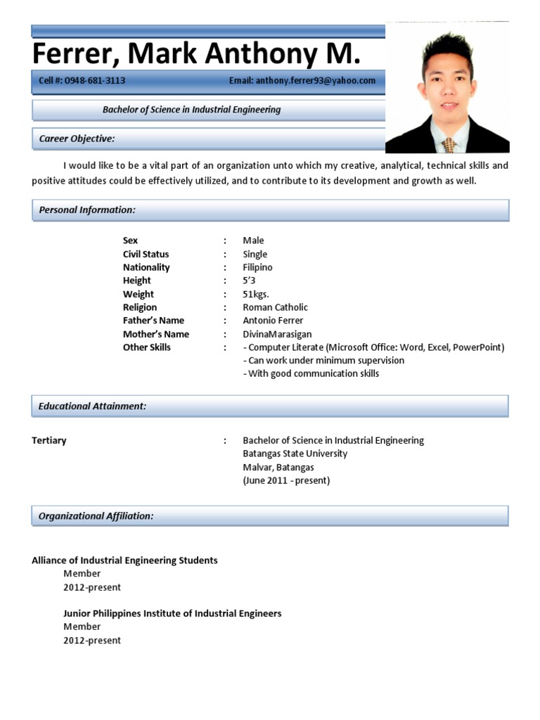 Mark Anthony Ferrer's Profile Summary | PDF