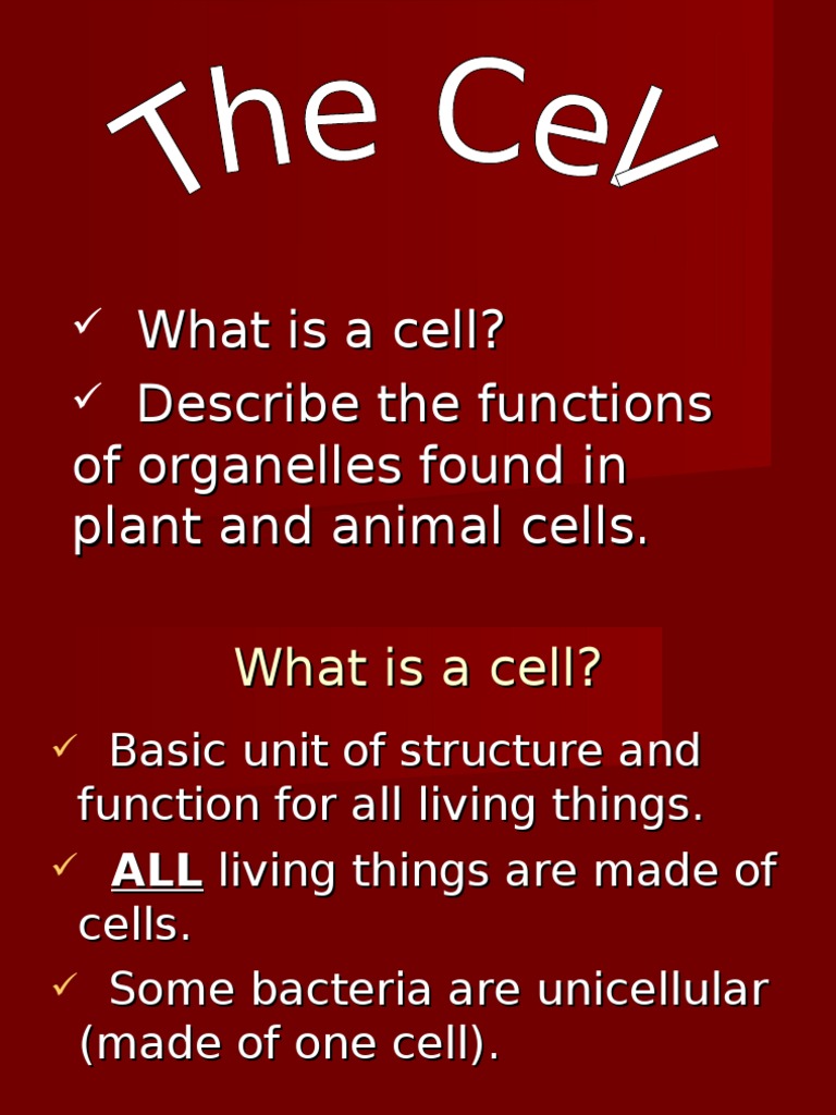 What Is A Cell? Describe The Functions of Organelles | PDF | Cell ...