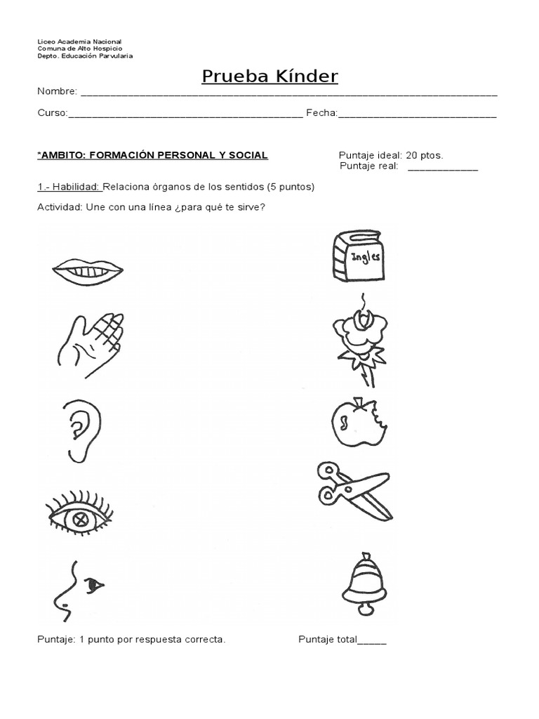 Diagnostico Prueba Kinder | PDF | Educación de la primera infancia