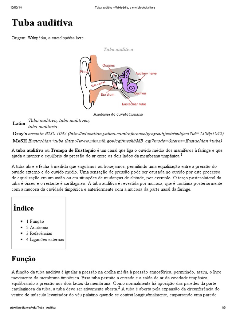 Tuba Auditiva | PDF | Audição | Anatomia humana