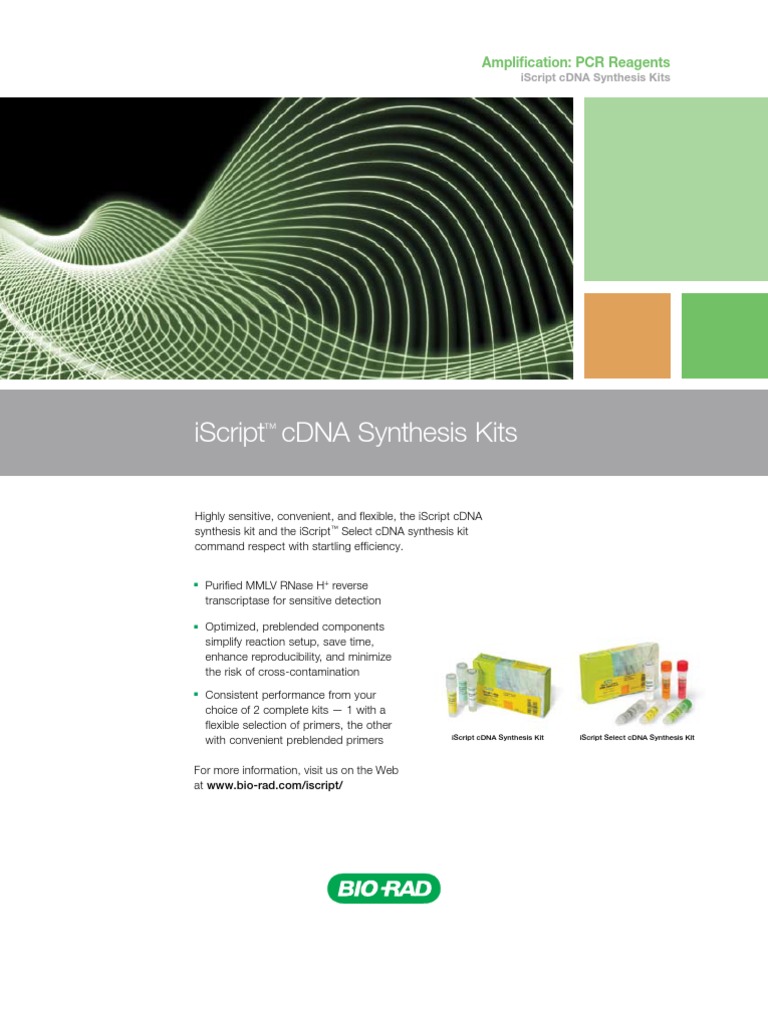 iScript cDNA Synthesis Kits Overview | PDF | Reverse Transcription ...