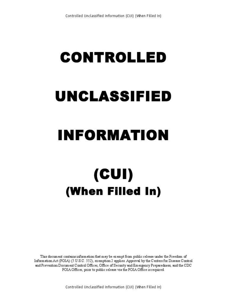 BCP Format Guide 07112007 | PDF | Emergency Management | Computing