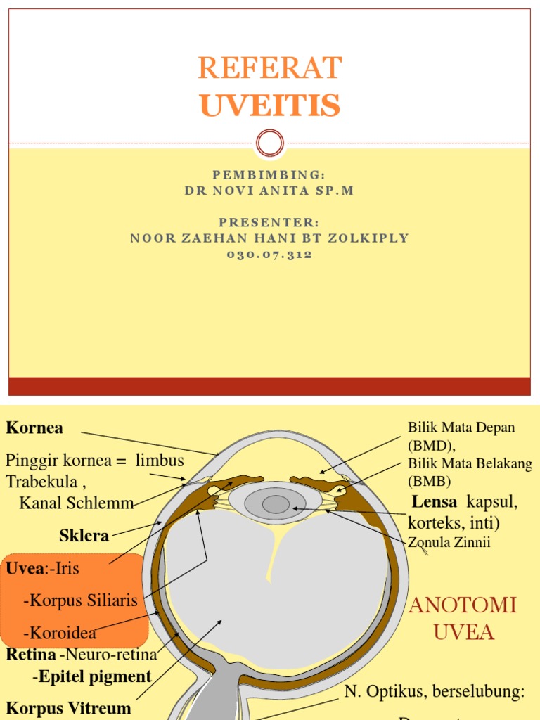 Uveitis: Anatomi dan Epidemiologi | PDF