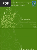 Apoplasto y Simplasto | PDF | Raíz | Biología Celular)